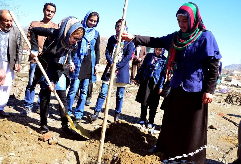 Behnami Seeding Campaign – Pajhwok Afghan News